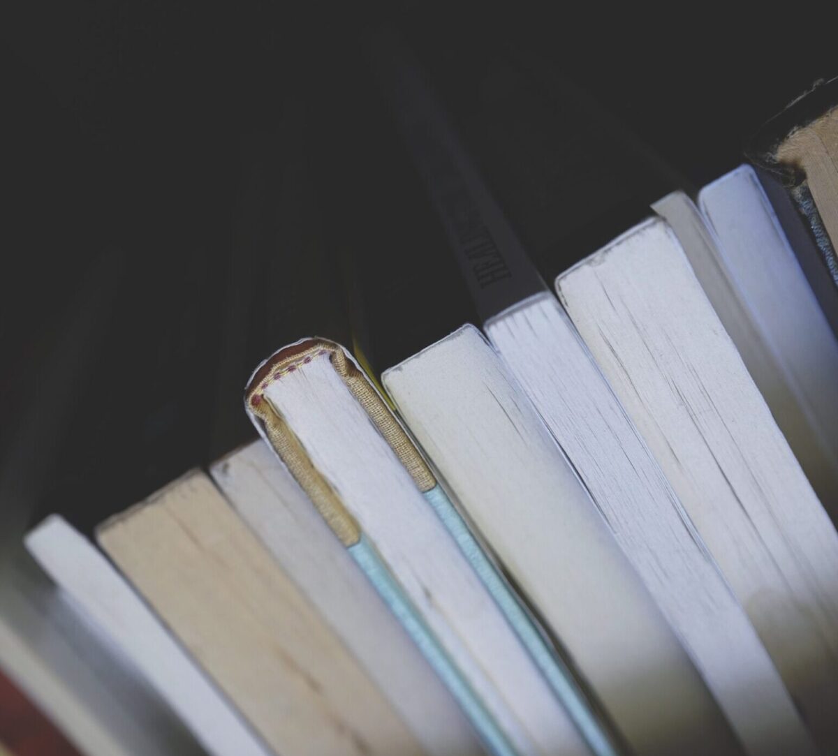 Book Bans: a case study in how to push back